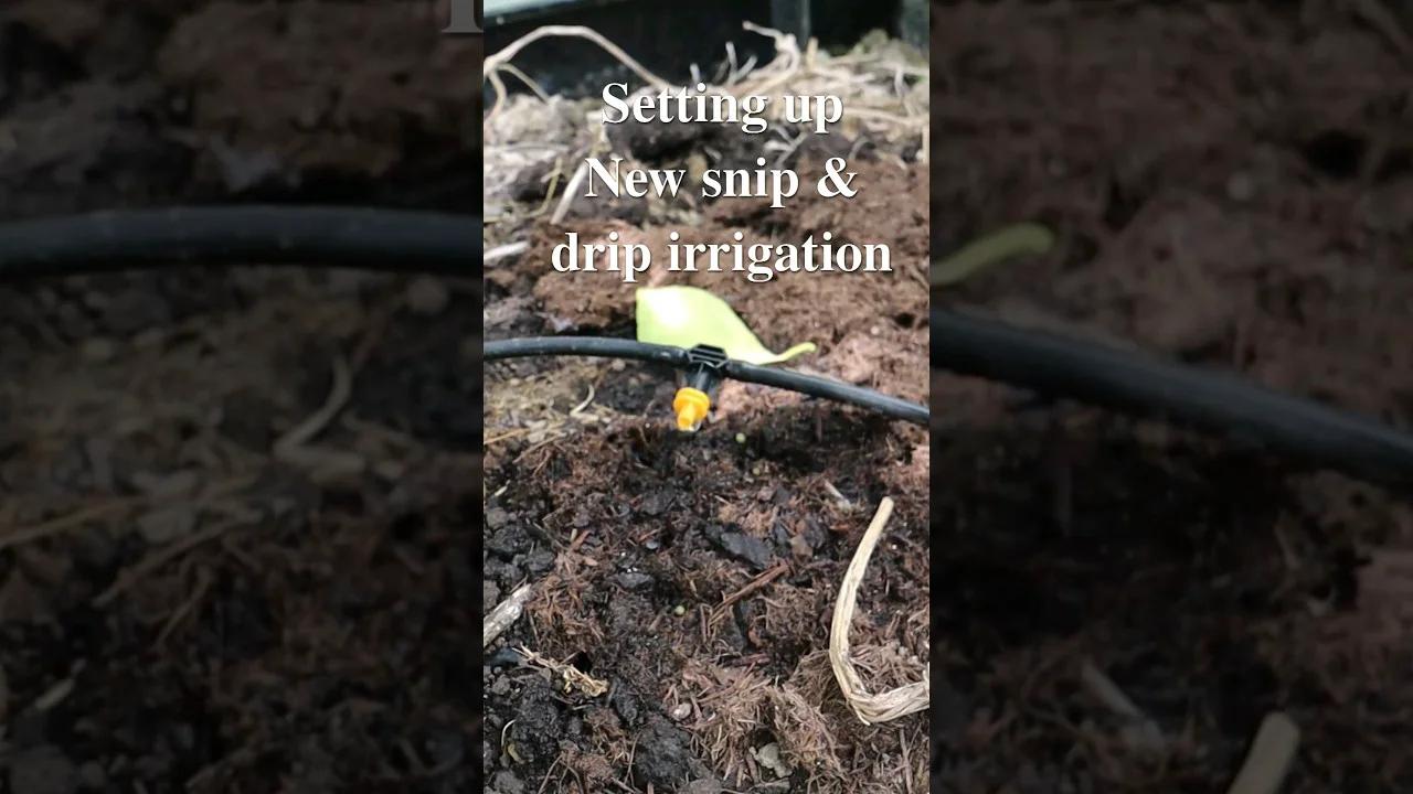 Low Pressure Drip Irrigation system that doesn't flood your garden # ...