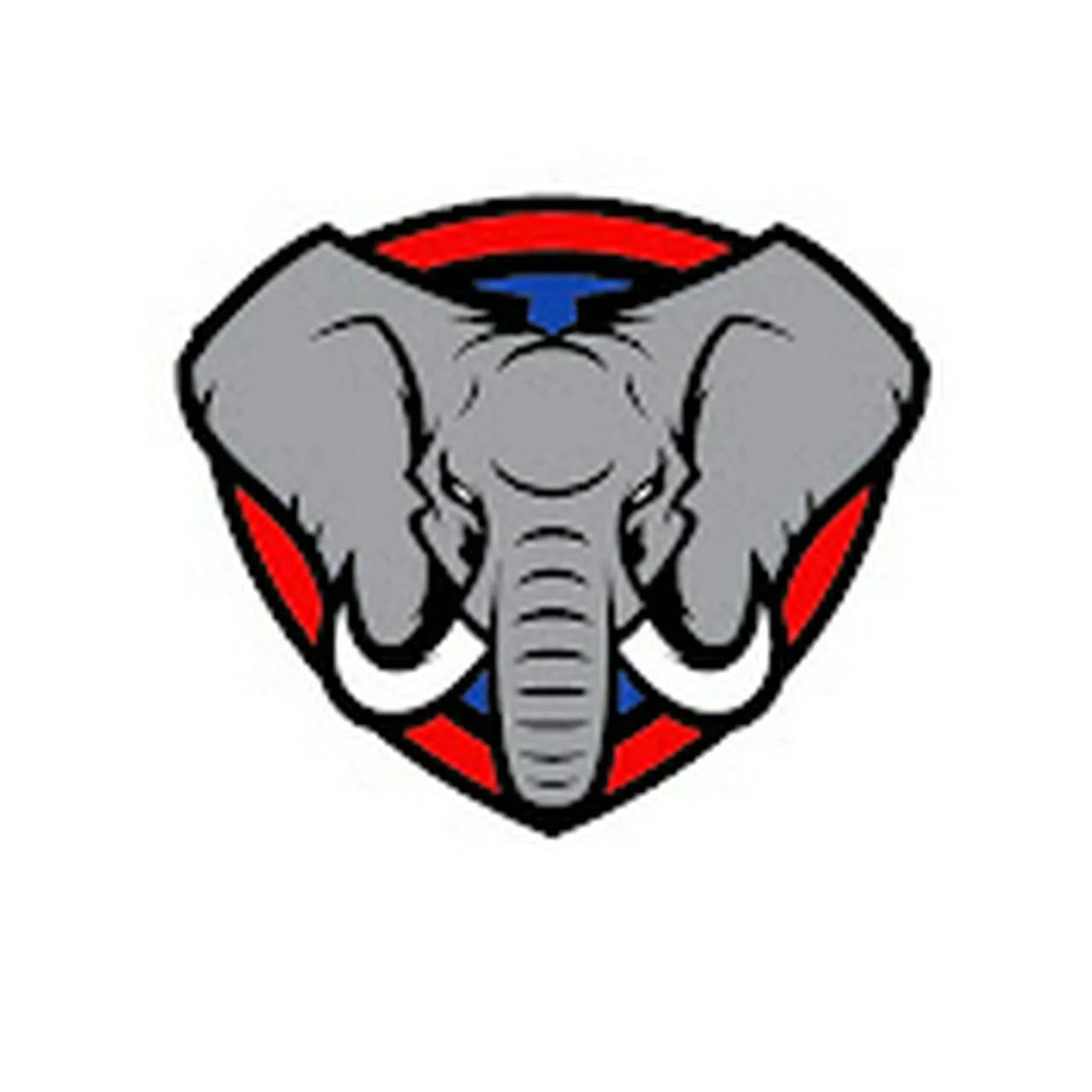 Elephant Man Podcast Network