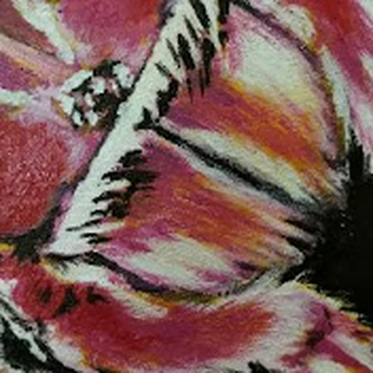 Pink Spider Tarot & Astrology