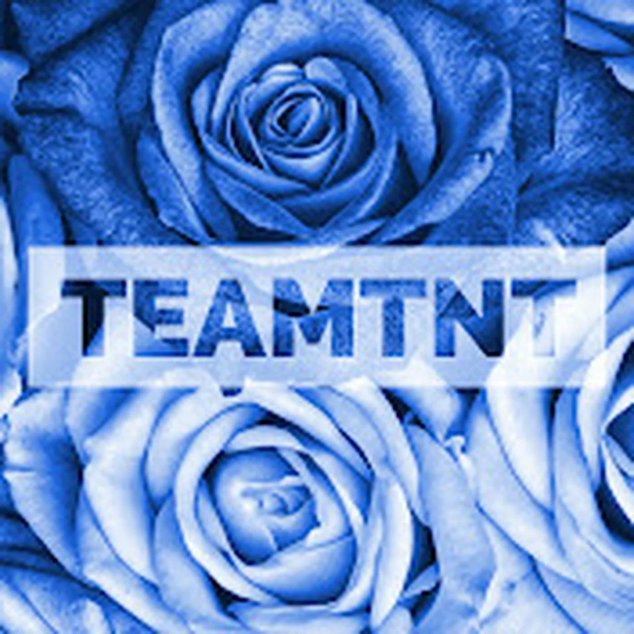 Team TNT