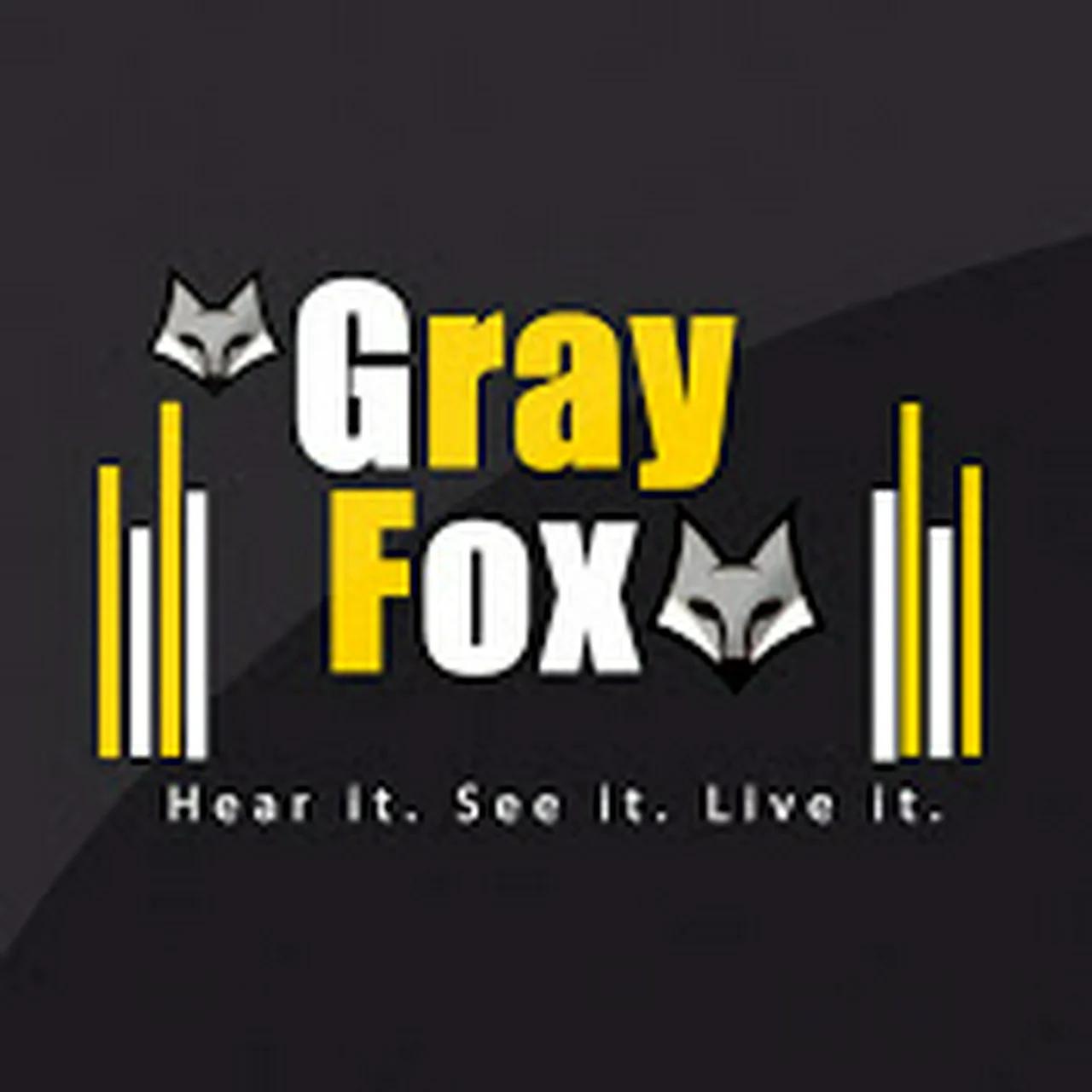 Gray Fox