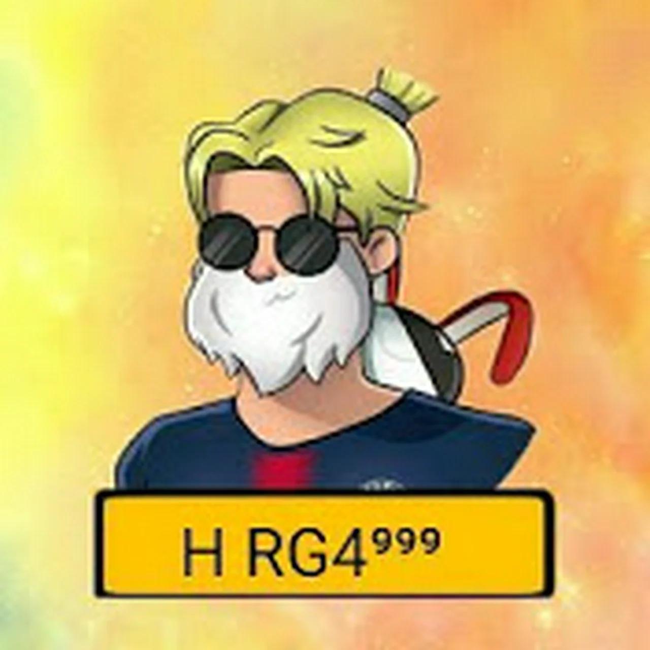 H. Rg4 Gamer