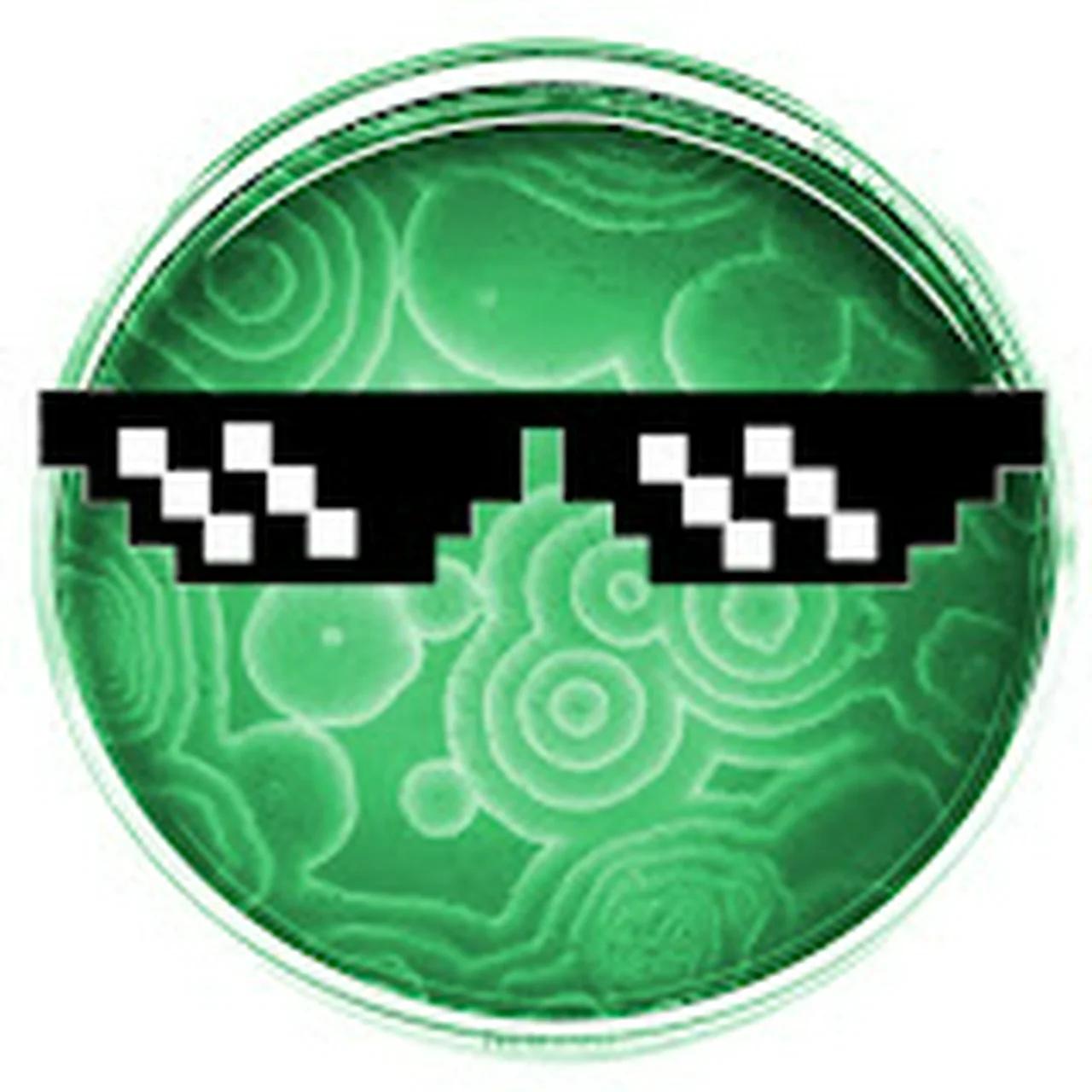 MrGreen