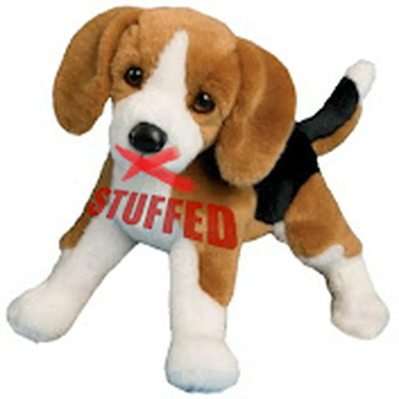 Stuffed Beagle