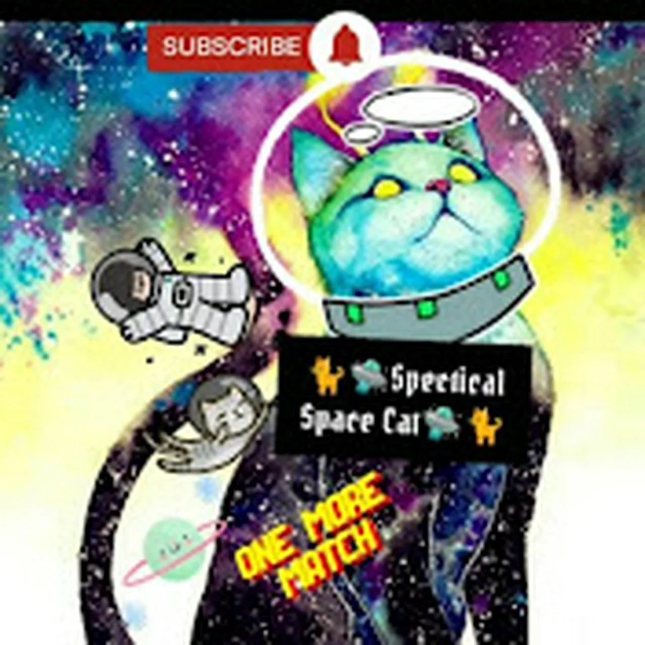 spectical space cat