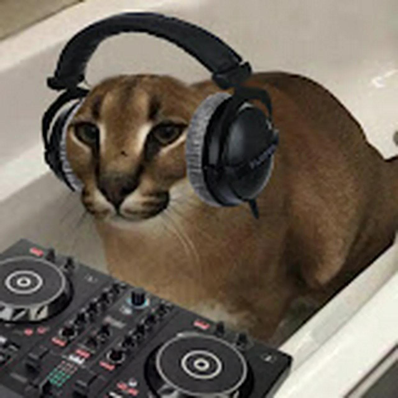 DJ Floppa