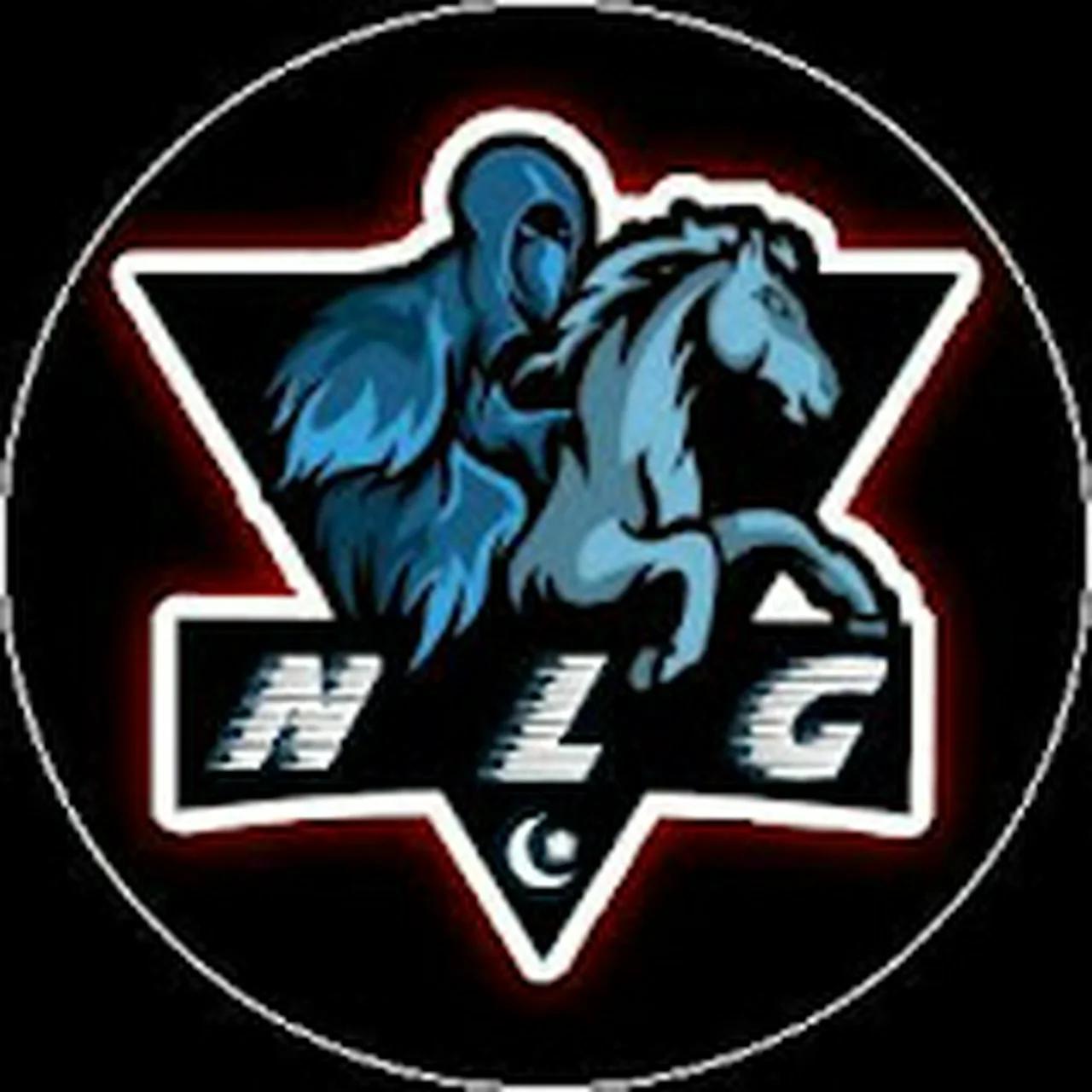 NXT LVL GAMING [N.L.G]