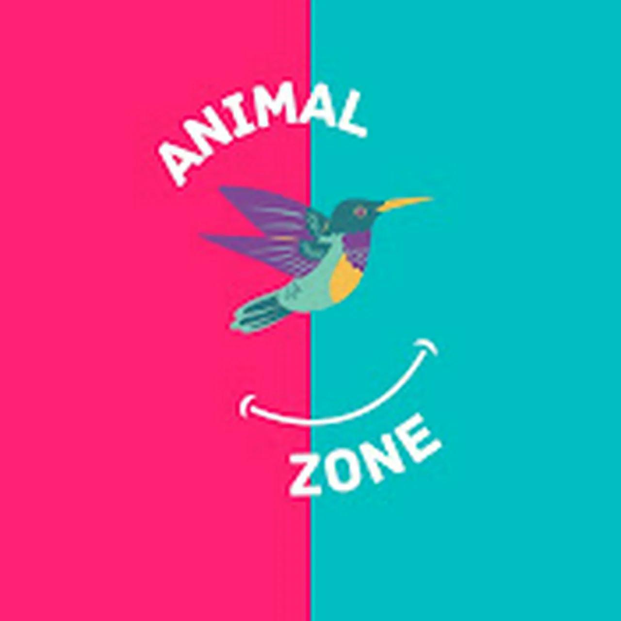 Animals Zone