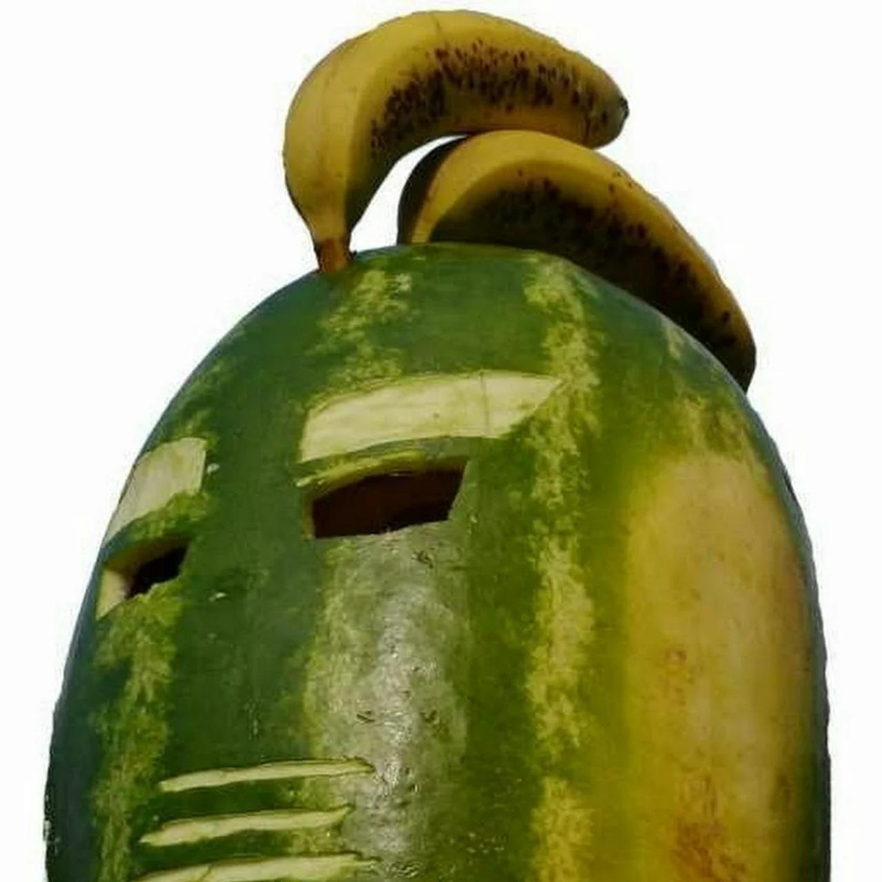 Fruit Based Homestead Jason Kvestad