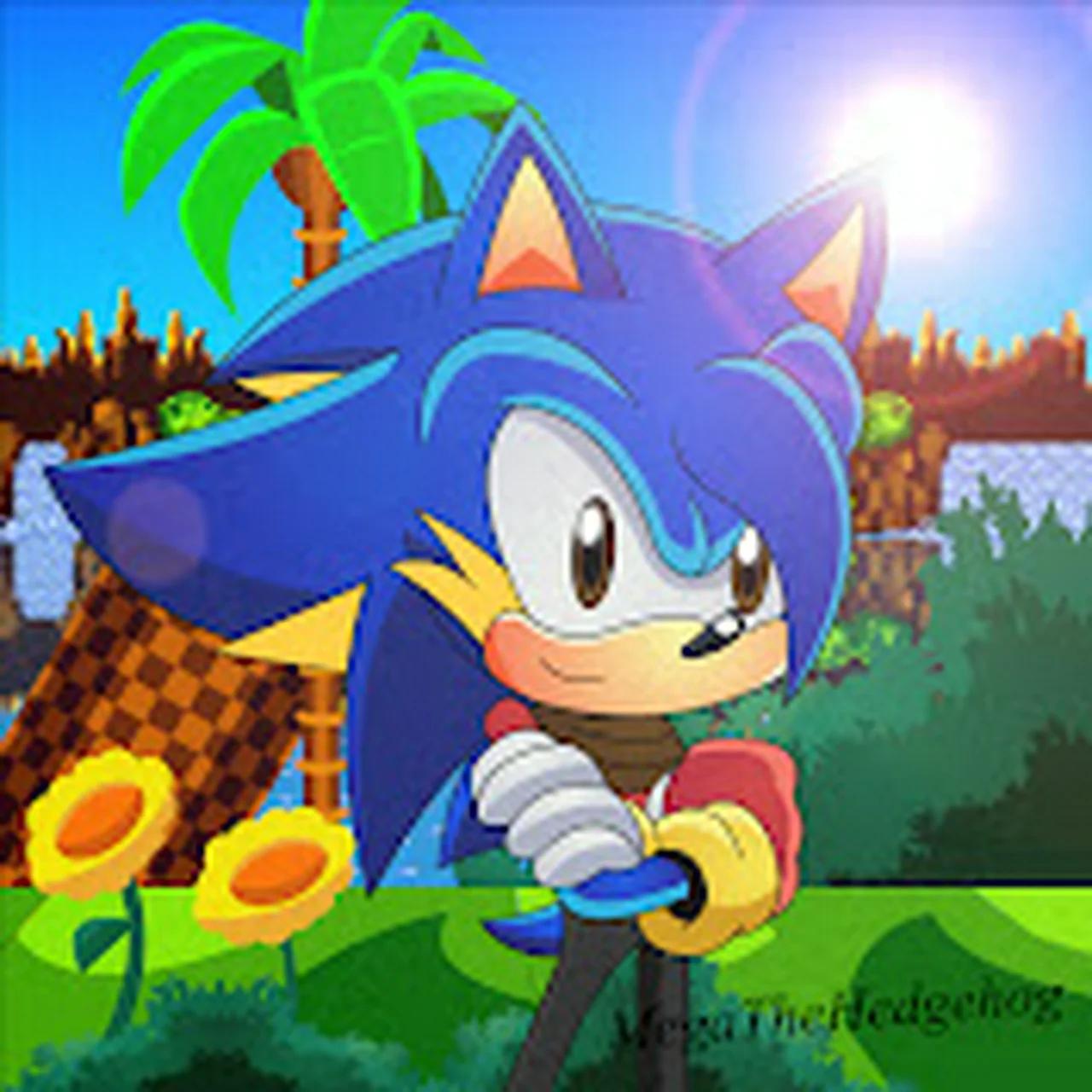 Mega The Hedgehog