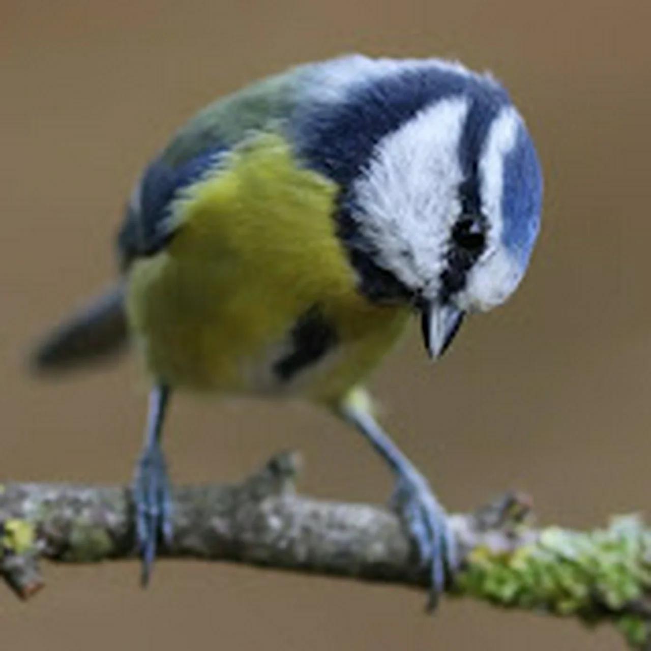 Le Doc Nature Vivante