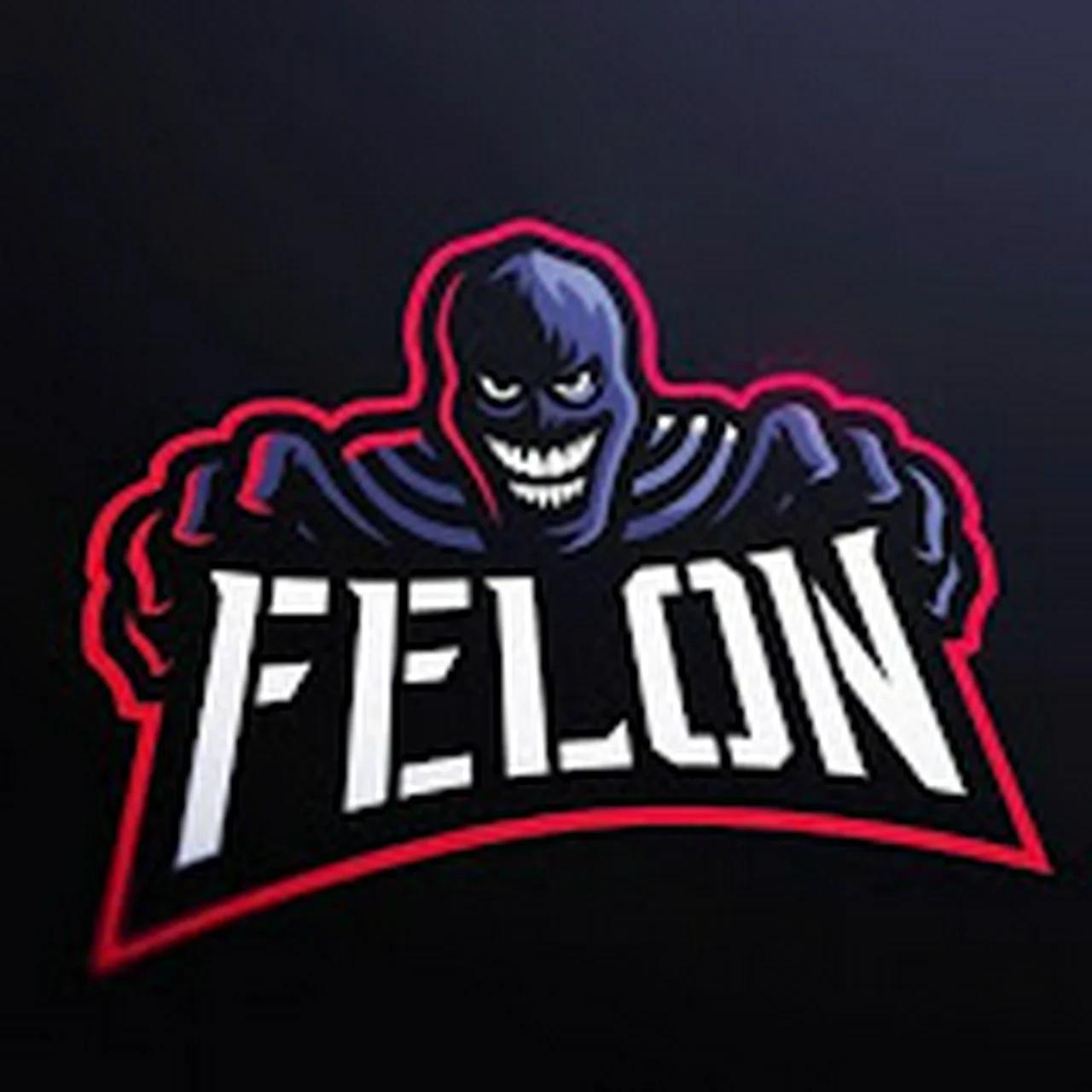 Felon GaMing
