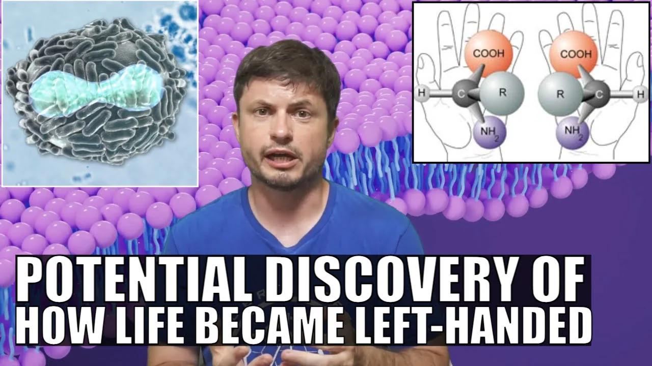 Accidental Breakthrough on Origins of Life: Is This Why All Proteins ...