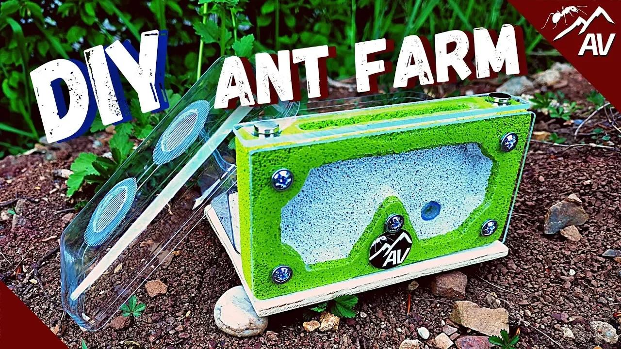 How to make a Formicarium | DIY Ant Farm for Pet Ant Colony