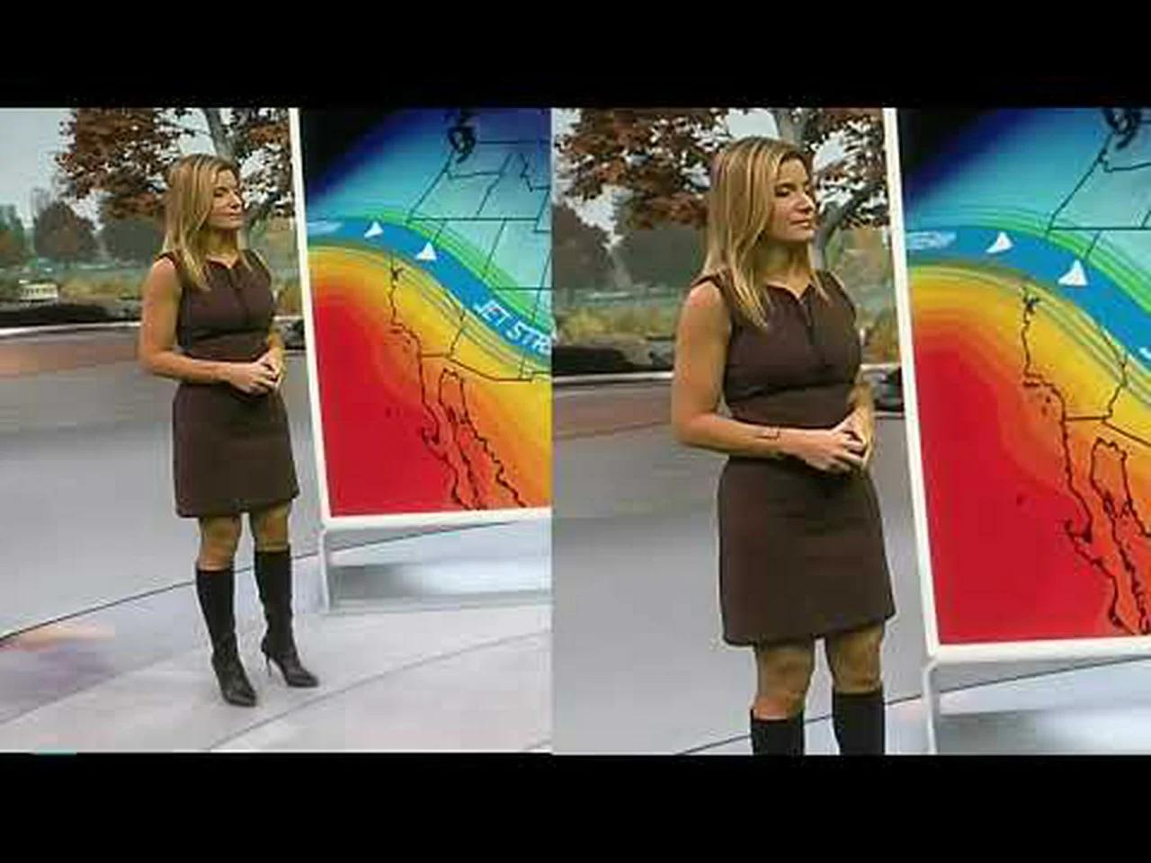 Jen Carfagno - The Weather Channel - 111021 Short Brown Dress - Easy On ...