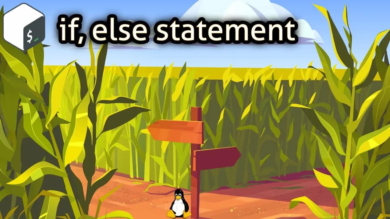 If Else Statement Bash 0541