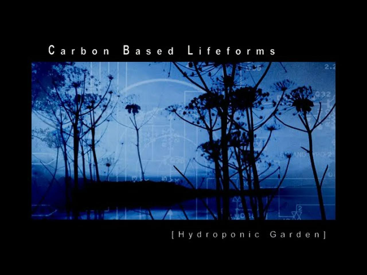 𝐂𝐚𝐫𝐛𝐨𝐧 𝐁𝐚𝐬𝐞𝐝 𝐋𝐢𝐟𝐞𝐟𝐨𝐫𝐦𝐬 - 𝐌𝐎𝐒 𝟔𝟓𝟖𝟏 (𝐀𝐥𝐛𝐮𝐦 𝐕𝐞𝐫𝐬𝐢𝐨𝐧)