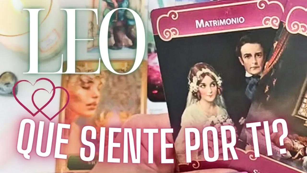 LEO "Qué Necesitas Saber Sobre Esta Conexión? (Lectura En Detalle ...