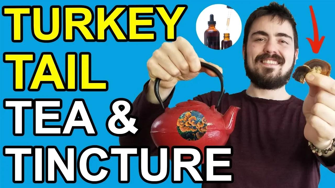Turkey Tail Mushroom Tea and Tincture - BENEFITS & HOW TO