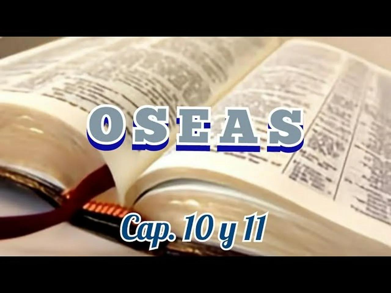 OSEAS 10 y 11