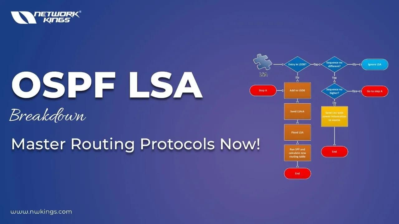 OSPF | Router & Network LSA - Animation