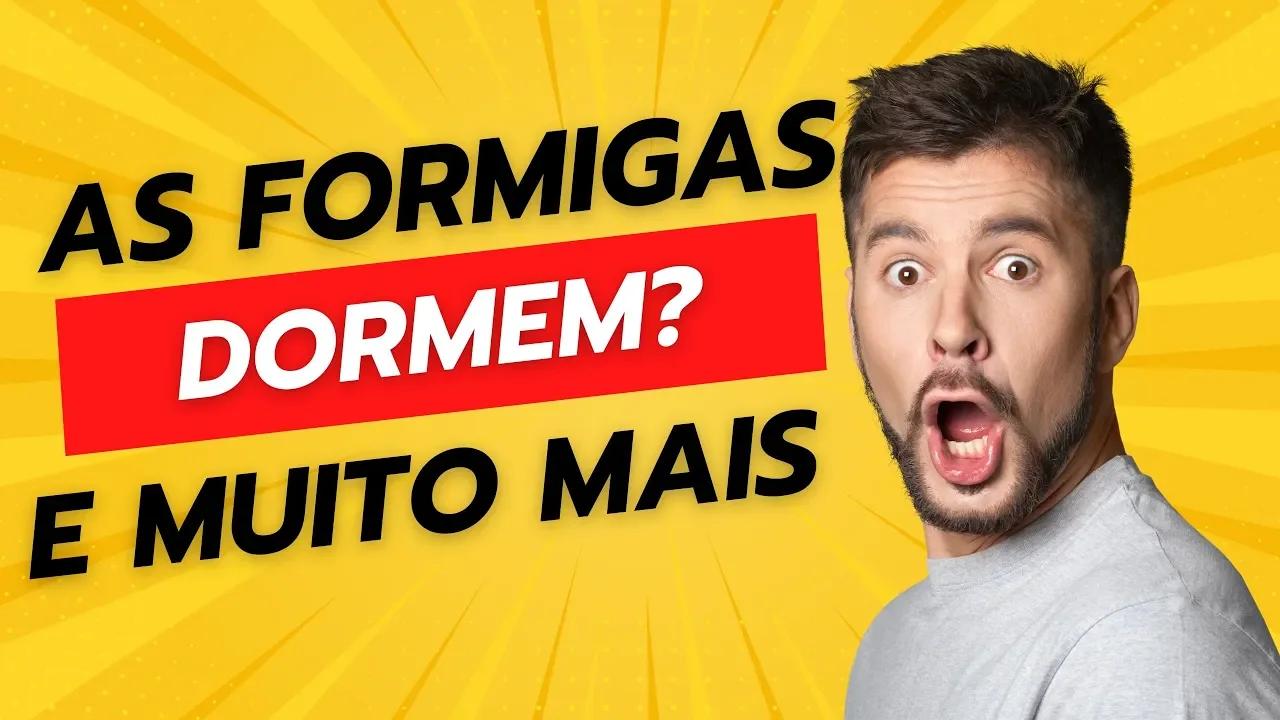 As FORMIGAS DORMEM? Como são produzidos os ESPERMAS nos homens? Por que um papagaio vive tanto?