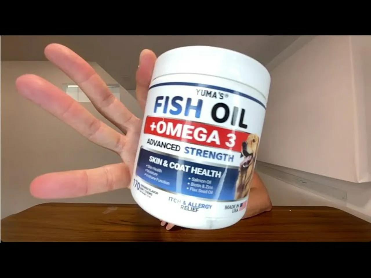 Best Omega 3 Chews for Dogs