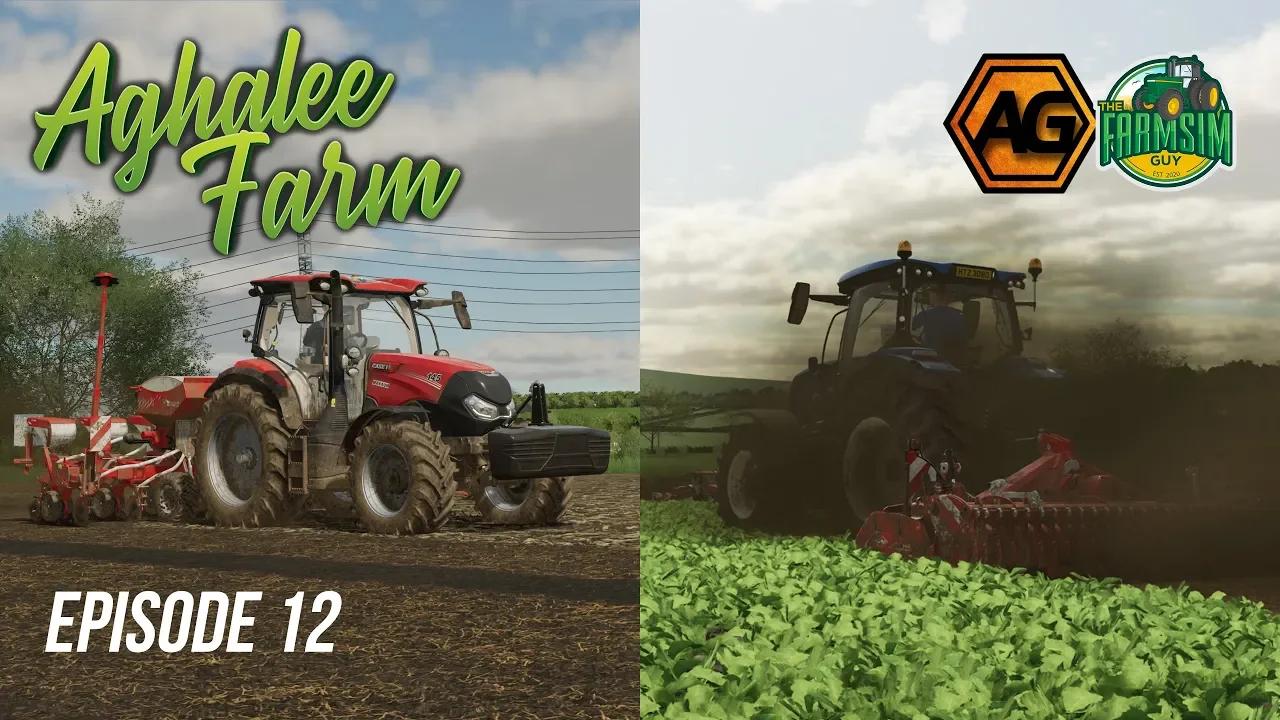Finishing off the Planting - Aghalee Farms with @ArgsyGaming - Episode 12