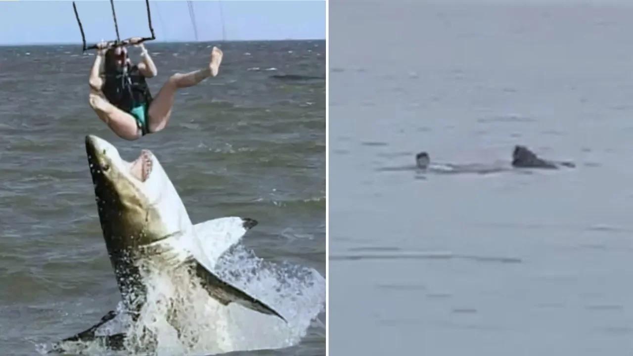 The Worst Shark Attacks Of 2023 *MARATHON*