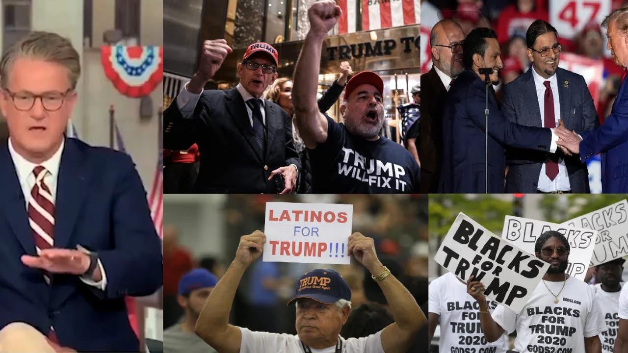 MSNBC Blames White Men, Hispanic Men & Black Men for Kamala's Defeat ...