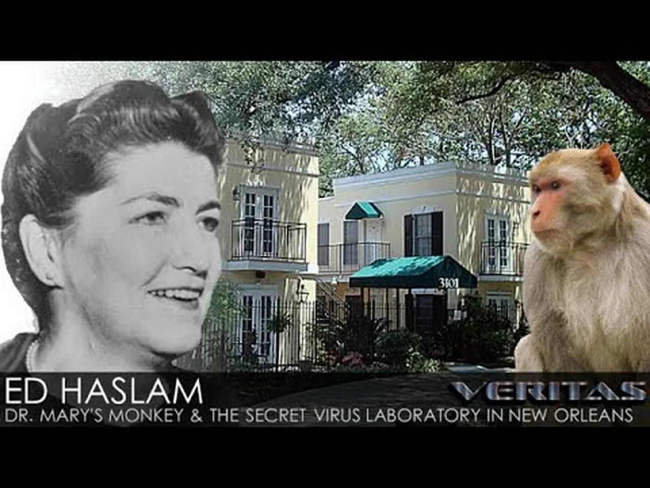 ED HASLAM : DR. MARY'S MONKEY & THE SECRET VIRUS LABORATORY IN NEW ORLEANS