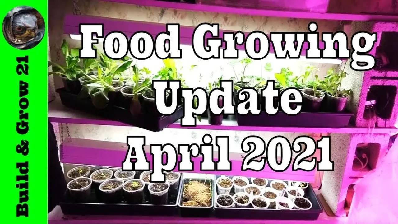 Food Growing Update April