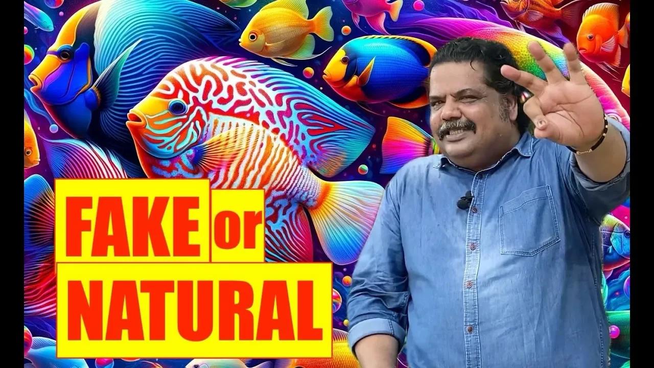Why Do Fish have FAKE Colour | Best Food for Fish Colour | Mayur Dev ...