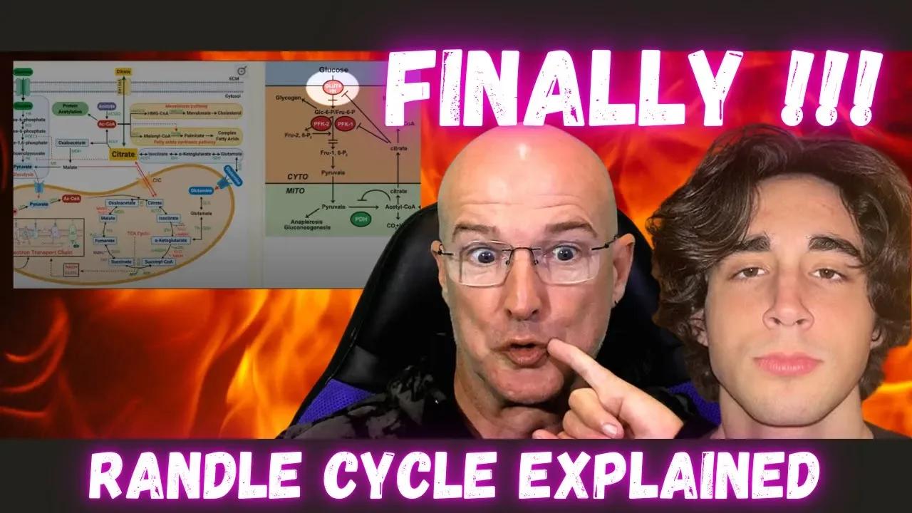 Insulin Resistance & Randle Cycle EXPLAINED (Prof. Bart Kay & Eddie Goeke).