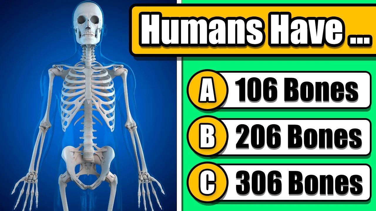 Human Body General Knowledge Quiz 🦴 ️