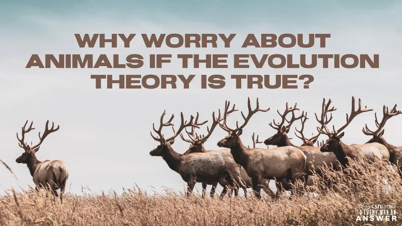 Why Worry About Animals Going Extinct if the Evolution Theory is True?