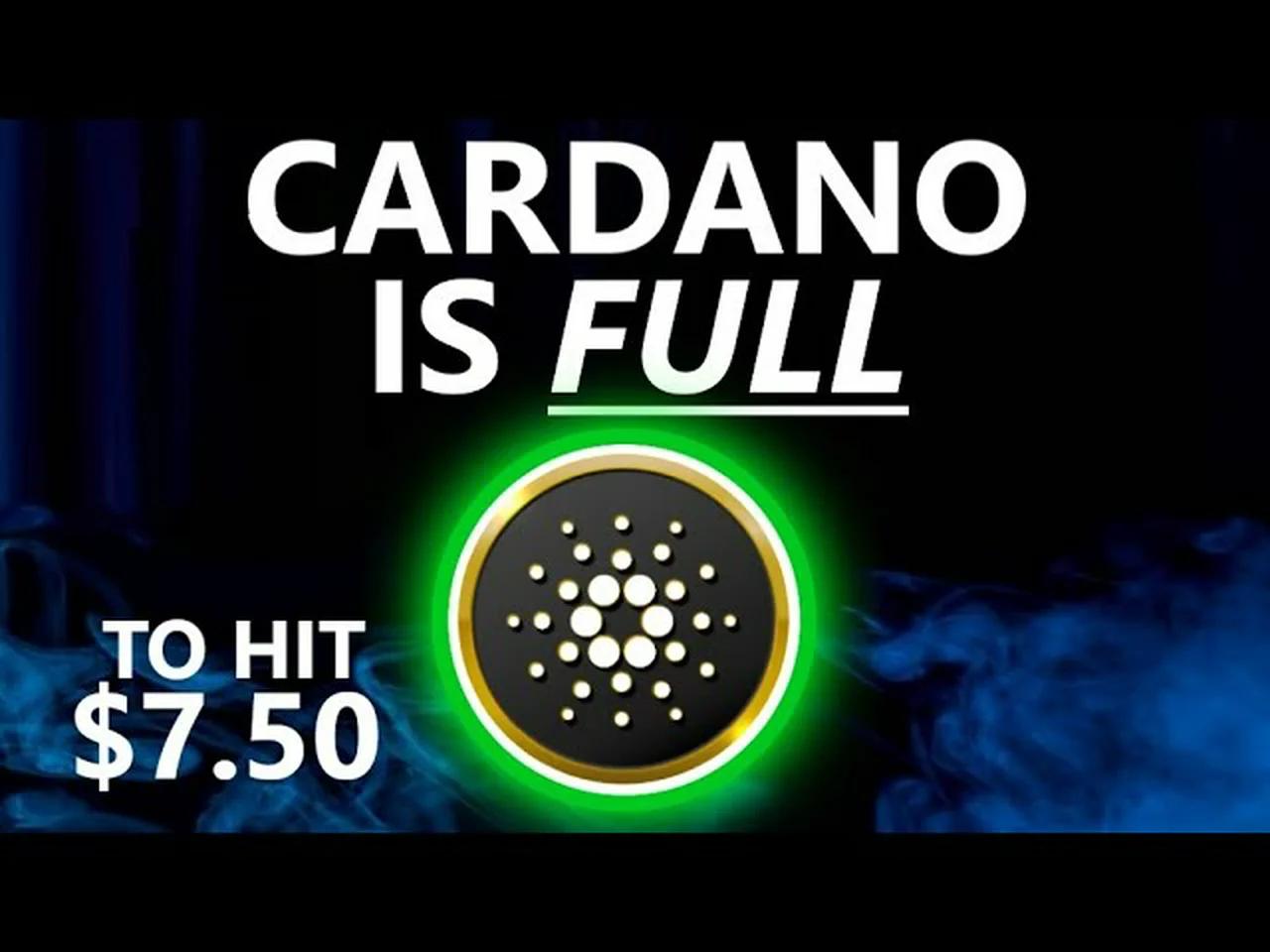 CARDANO BLOCKS ARE *FULL*