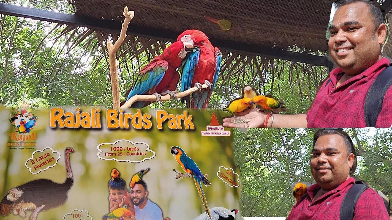 Unlocking the Beauty of Rajali Bird Park: A Tanjavour Sight Seen Adventure