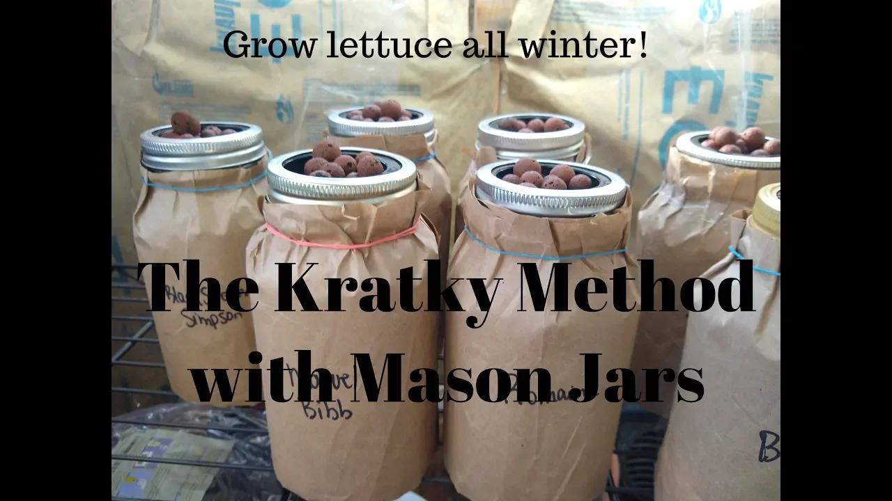 Mason Jar Kratky Method: A Simple, Inexpensive Hydroponics DIY