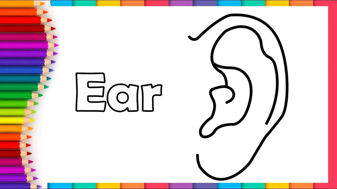 How to draw an EAR 👂🦻 - Body parts - for kids