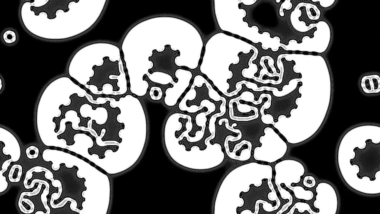 Multiple Neighborhoods Cellular Automata