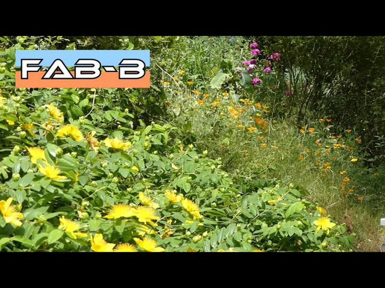 Les jardins de FAB B : Épisode 13