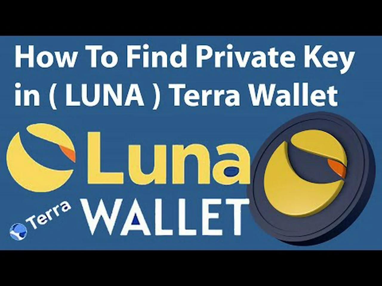 How To Find Private Key in LUNA Station Wallet | Best Cryptocurrency ...
