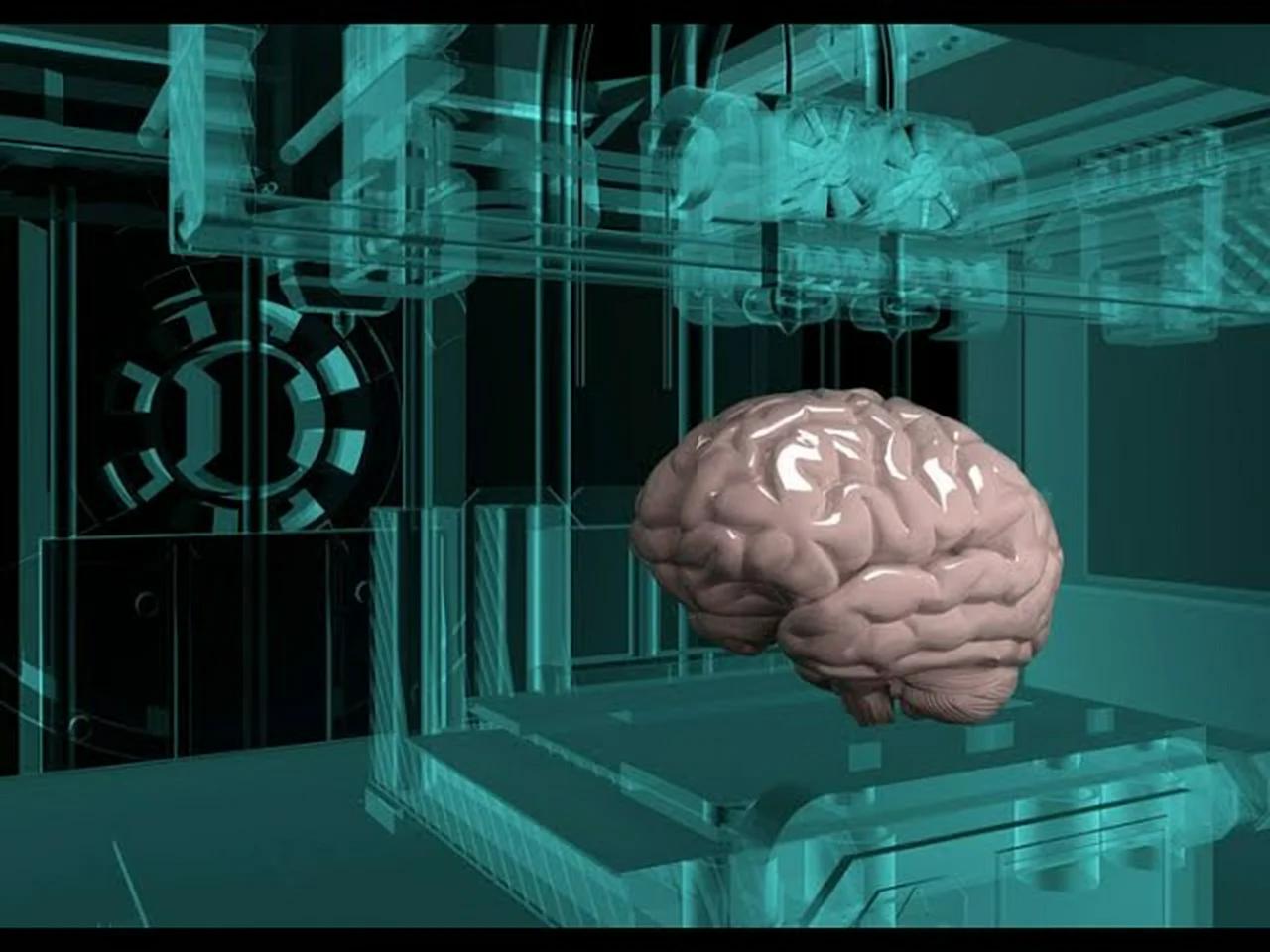Functional Human Brain Tissue Has Been Successfully 3d Printed By Researchers