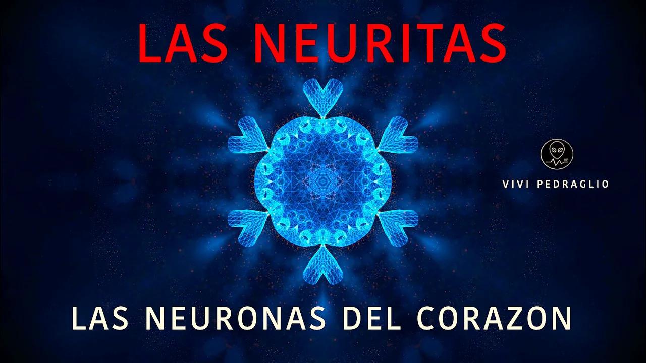 LAS NEURITAS | CORAZONADAS 💙 Frecuencias Arcturianas