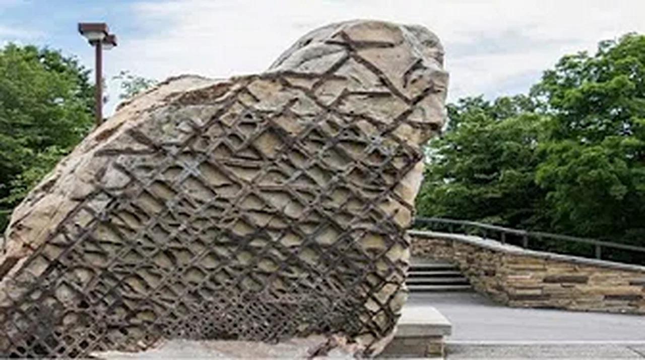 Mudfossils & The Mystery of 'Waffle Rock'