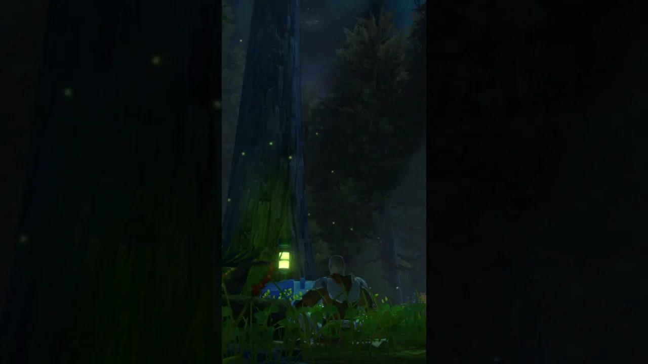 Jedi Code Reflection Short