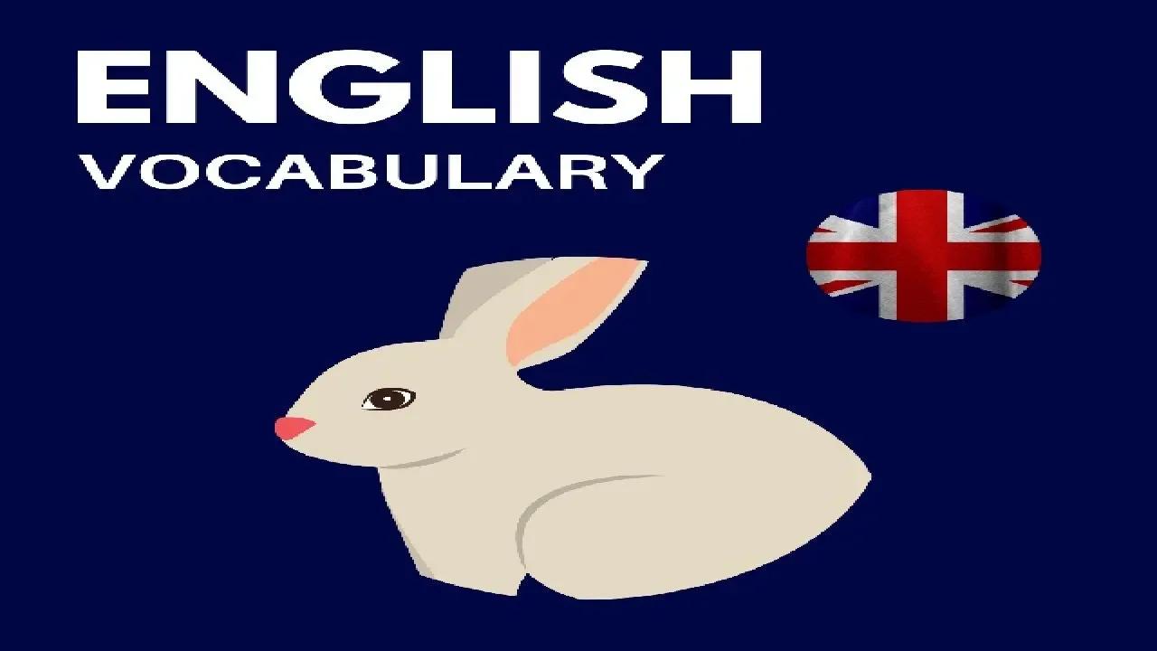 Platos con Conejo. VOCABULARIO DE INGLÉS