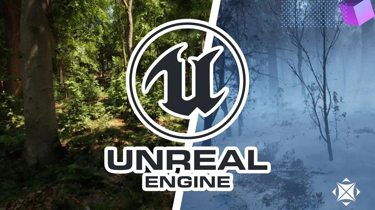 Ultra Realistic Forest UE 5 Demo - RX 5600 XT - MAWI Broadleaf Forest ...