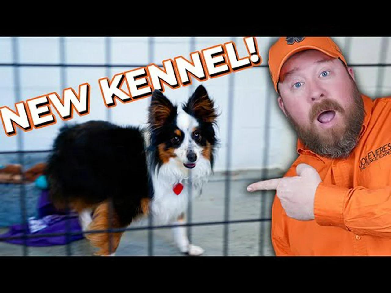 Will This Custom Dog Kennel Build Work? - Week in the Life #6